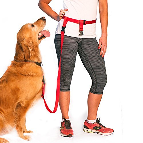 Denver Post Review: Buddy System Hands Free Leash System | The Buddy ...
