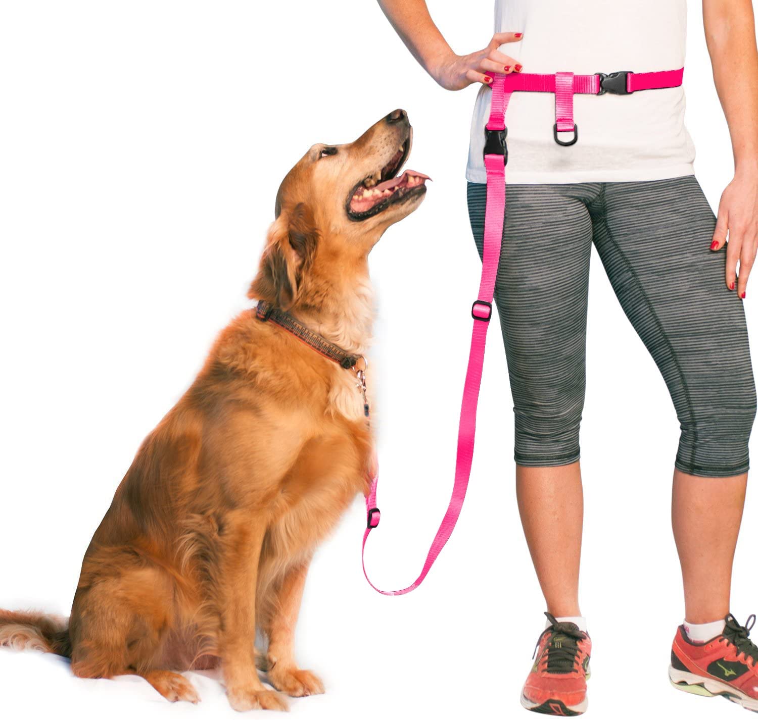 The Buddy System Waist Leash - Regular Dog System